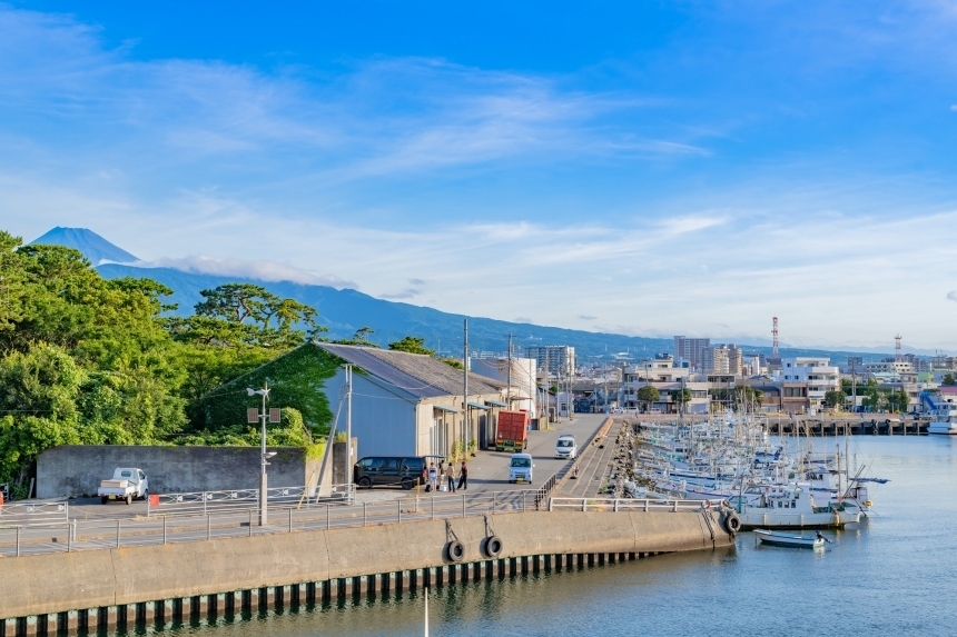 "Numazu Fish Market" ตลาดอาหารทะเลสด ลึกแต่ไม่ลับ แห่งจังหวัดชิสุโอก ...