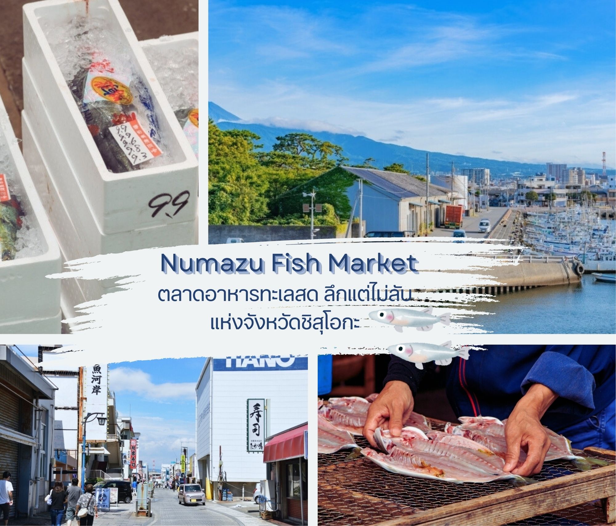 "Numazu Fish Market" ตลาดอาหารทะเลสด ลึกแต่ไม่ลับ แห่งจังหวัดชิสุโอก ...