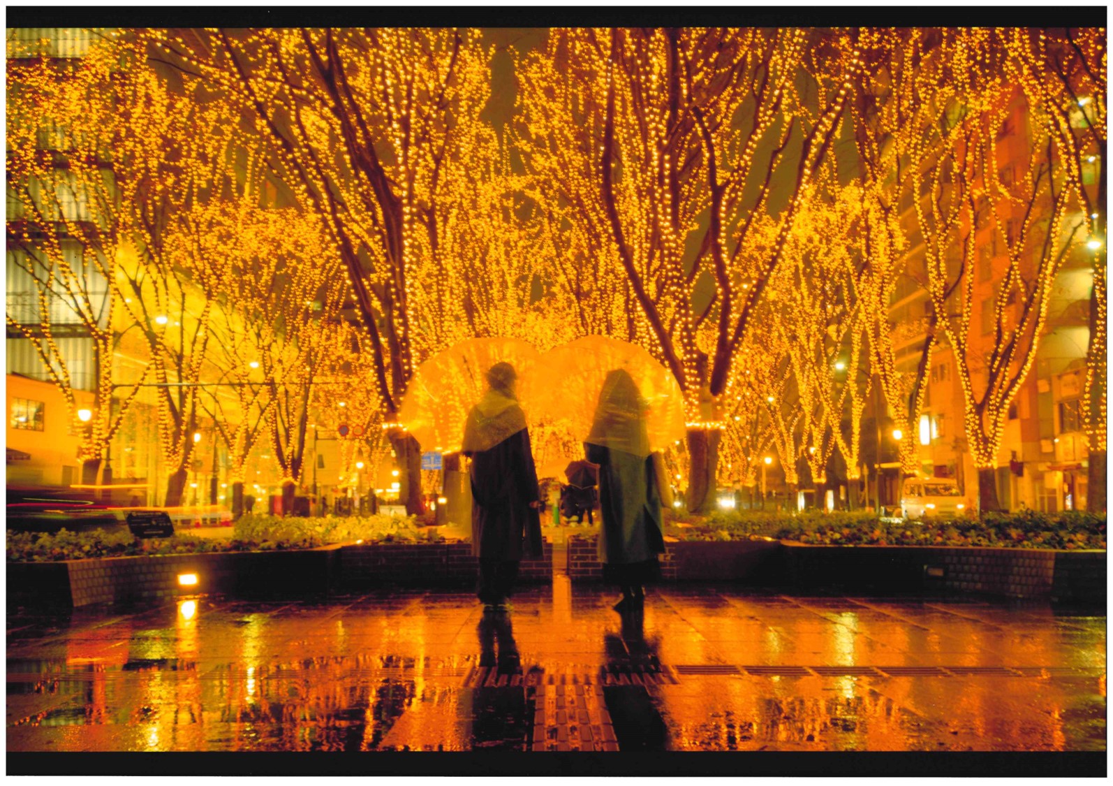 รวมงาน Illumination เทศกาลไฟ ญี่ปุ่น ฤดูหนาว 2024-2025 Update - Chill ...
