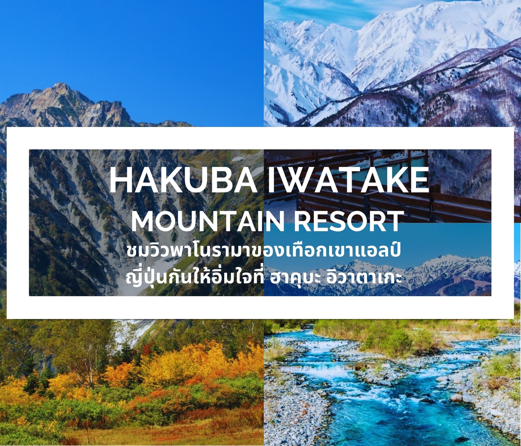 ชมวิวพาโนรามาของเทือกเขาแอลป์ญี่ปุ่นกันให้อิ่มใจที่ “ฮาคุบะ อิวาตาเกะ ...