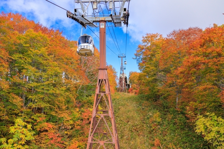 ชมวิวพาโนรามาของเทือกเขาแอลป์ญี่ปุ่นกันให้อิ่มใจที่ “ฮาคุบะ อิวาตาเกะ (Hakuba Iwatake Mountain ...