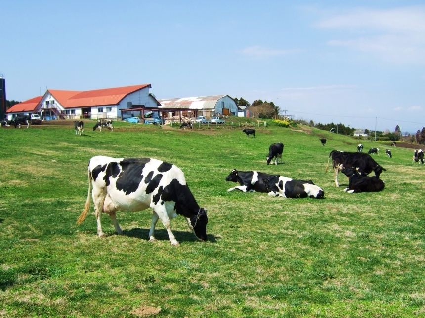 สัมผัสความน่ารักของสัตว์ต่างๆ แบบใกล้ชิด ที่ Mother Farm - Chill Chill ...