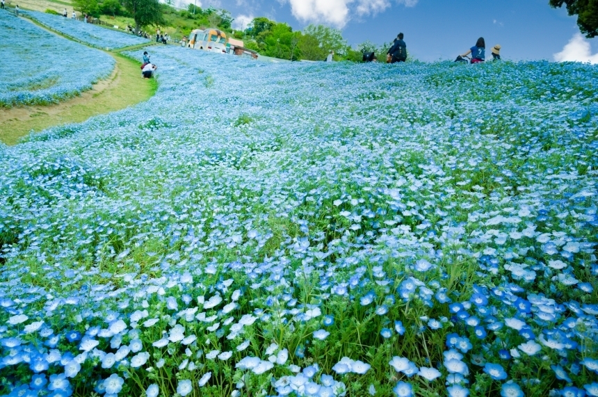 สัมผัสความน่ารักของสัตว์ต่างๆ แบบใกล้ชิด ที่ Mother Farm - Chill Chill ...