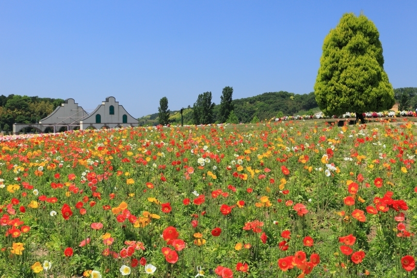 สัมผัสความน่ารักของสัตว์ต่างๆ แบบใกล้ชิด ที่ Mother Farm - Chill Chill ...