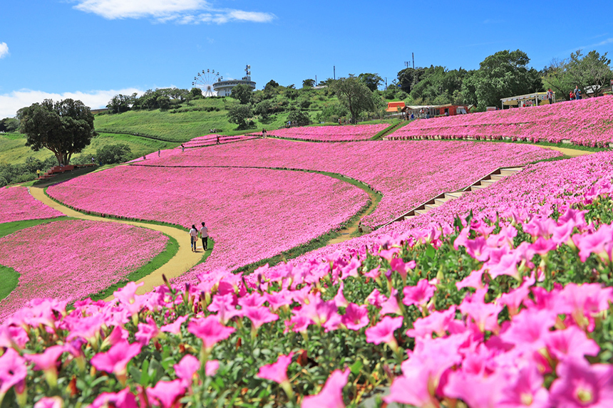 สัมผัสความน่ารักของสัตว์ต่างๆ แบบใกล้ชิด ที่ Mother Farm - Chill Chill ...