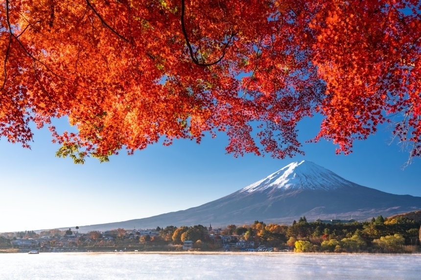 รถไฟสายด่วนชวนเที่ยวรอบฟูจิ (Fuji Excursion) วิธีการเที่ยวฟูจิที่ทั้ง ...