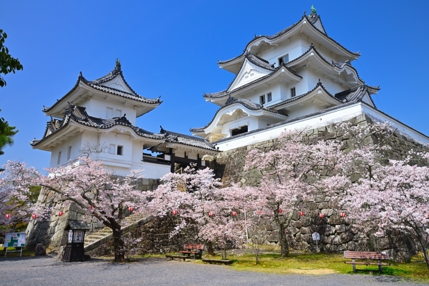 เที่ยวพิพิธภัณฑ์นินจาอิงะริว (Iga-ryu Ninja Museum) เรียนรู้และสนุกกับ ...