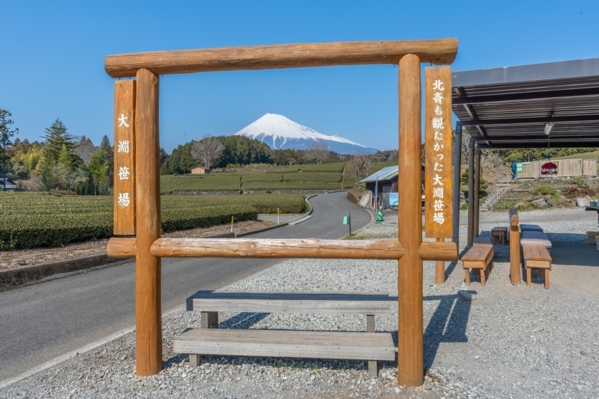 Obuchi Sasaba จุดชมวิวที่สามารถมองภูเขาไฟฟูจิ และไร่ชาสุดลูกหูลูกตาไป ...
