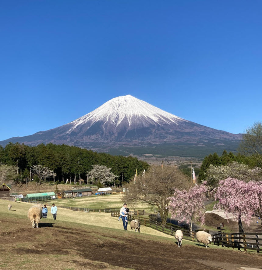 “ฟาร์มมาไกโนะ (Makaino Farm)” เที่ยวสนุก ถ่ายรูปสวย เด็กเด็กได้เรียนรู้ ...