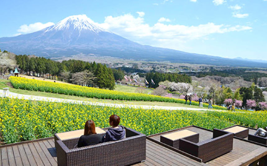“ฟาร์มมาไกโนะ (Makaino Farm)” เที่ยวสนุก ถ่ายรูปสวย เด็กเด็กได้เรียนรู้ ...