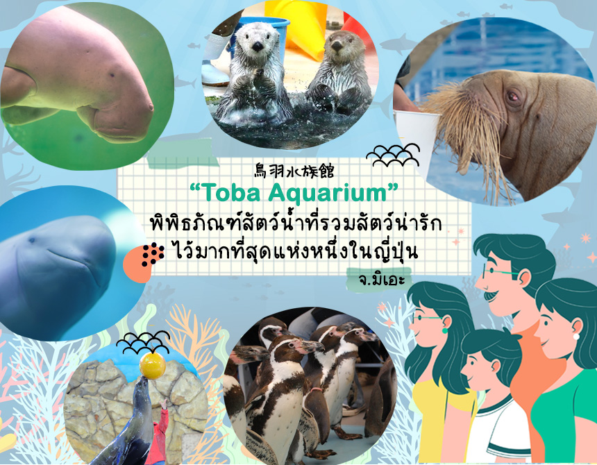 Toba Aquarium พิพิธภัณฑ์สัตว์น้ำที่รวมสัตว์น่ารักไว้มากที่สุดแห่งหนึ่ง ...