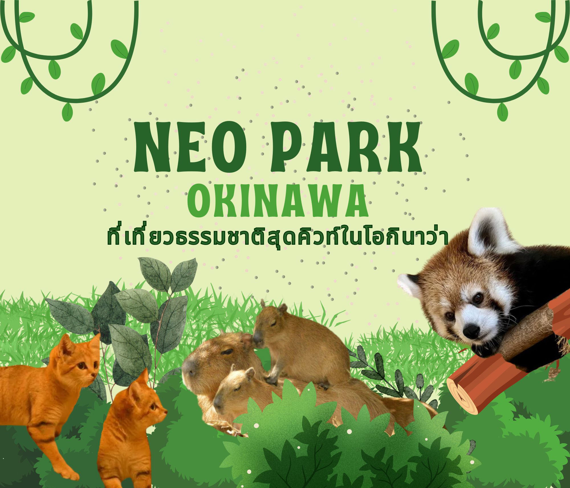 NEO Park Okinawa – ที่เที่ยวธรรมชาติสุดคิวท์ในโอกินาว่า - Chill Chill Japan