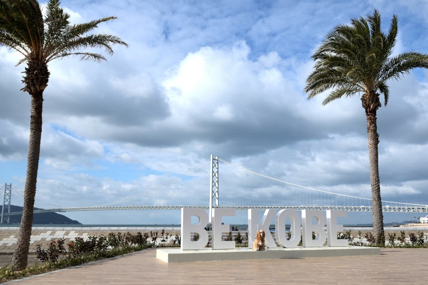 ช็อปปิ้งสุดชิลที่ Mitsui Outlet Park Marine Pia Kobe เดินทางง่ายใกล้ ...